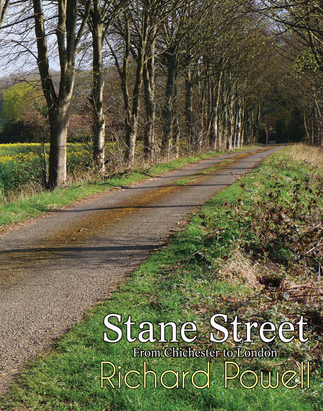 Stane Street: From Chichester to London – U P Publications